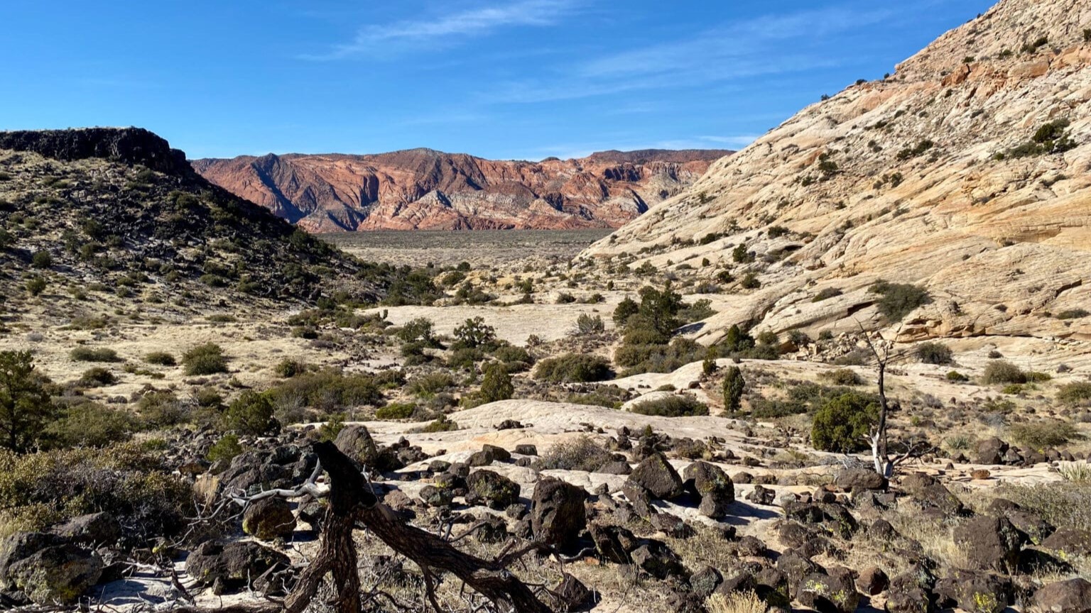 So. Utah: Blueberry Vodka Lemonade with Jones Bones! - Women's Wine ...